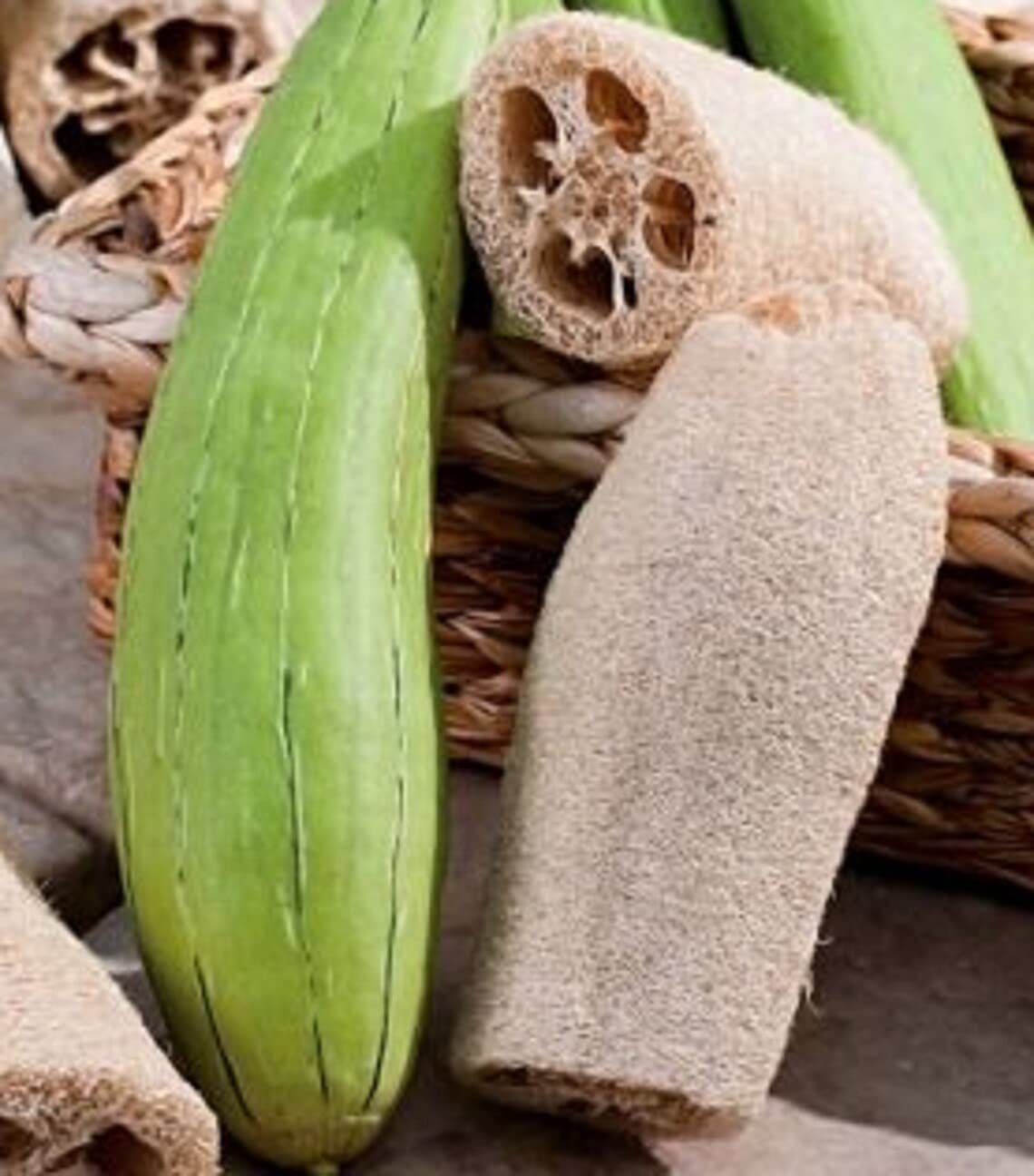 Beneficios de la Luffa: Exfoliación y Sostenibilidad - Naturaligy